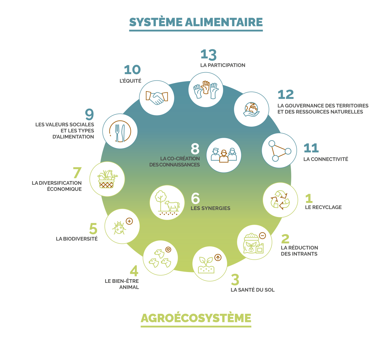Qu'est ce que l'agroécologie ? | Terraé